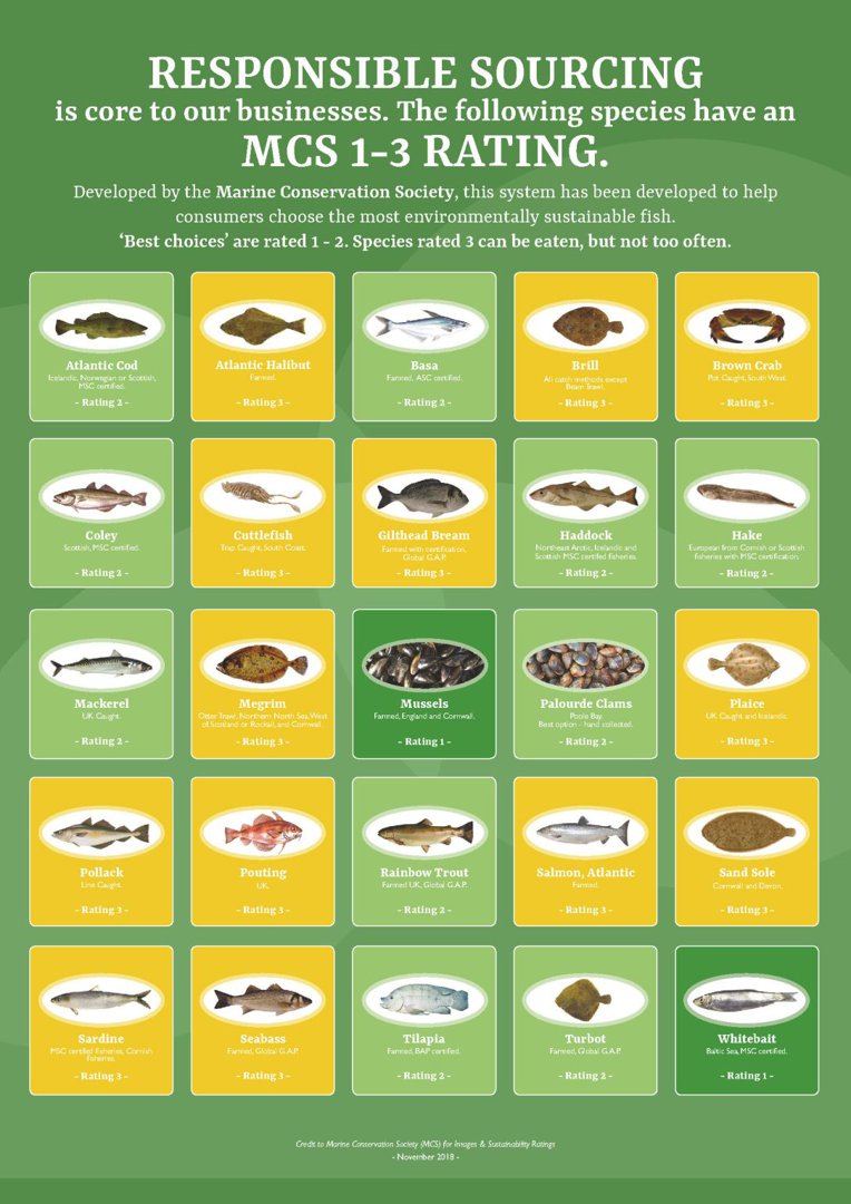 Sustainably Sourced Seafood | Taylor Foods : Taylor Foods