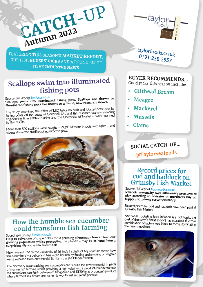 Seafood Suppliers | Fresh Fish & Seafood | Taylor Foods : Taylor Foods