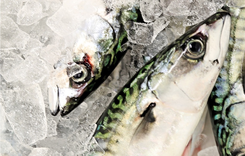 Our Story | Taylor Foods : Taylor Foods